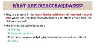 Digestion and Absorption of carbohydrates | PPTX