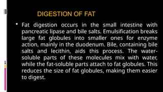 DIGESTION AND ABSORPTION OF CARBS, PROTEIN AND FAT.pptx