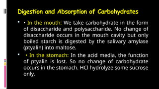 DIGESTION AND ABSORPTION OF CARBS, PROTEIN AND FAT.pptx