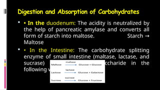 DIGESTION AND ABSORPTION OF CARBS, PROTEIN AND FAT.pptx