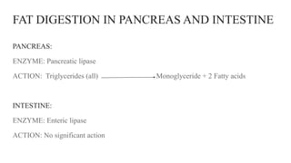 DIGESTION AND ABSORPTION OF FATS AND ITS APPLIED | PDF