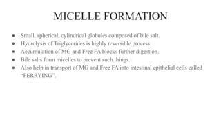 DIGESTION AND ABSORPTION OF FATS AND ITS APPLIED | PDF