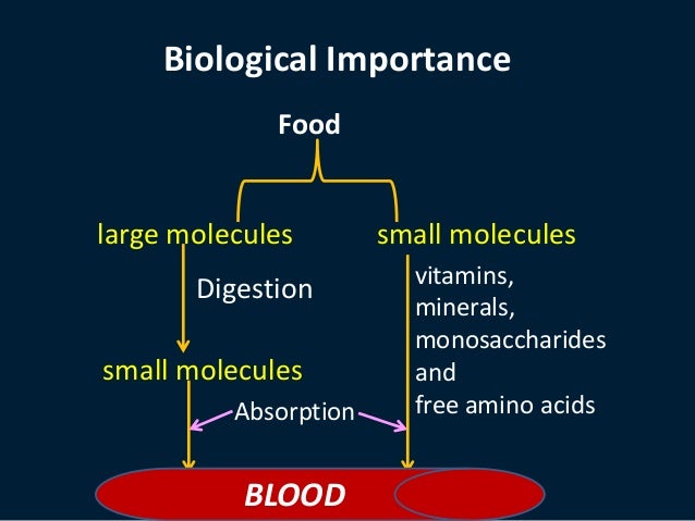 Digestion and absorption of food