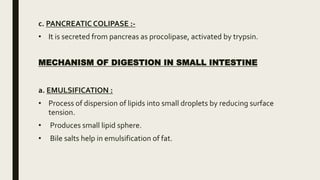 Digestion and absorption of lipid | PPTX