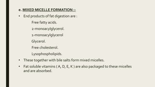 Digestion and absorption of lipid | PPTX