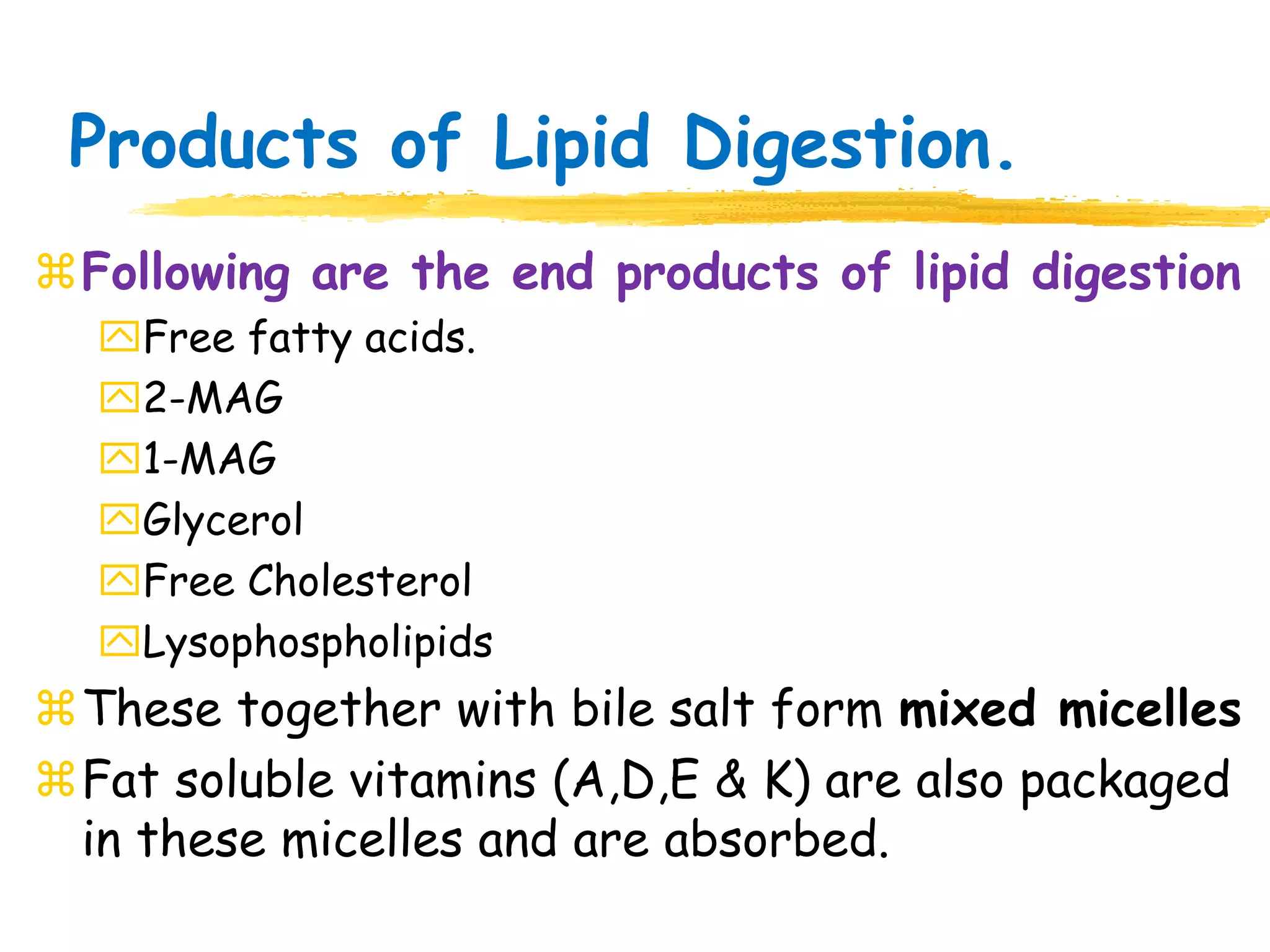 Digestion and absorption of lipids | PPSX