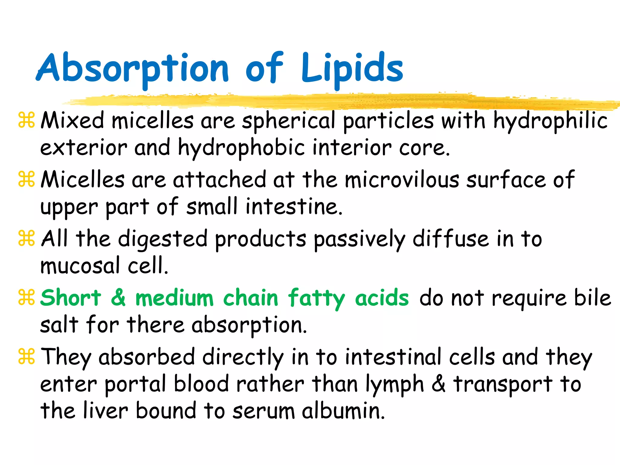 Digestion and absorption of lipids | PPSX