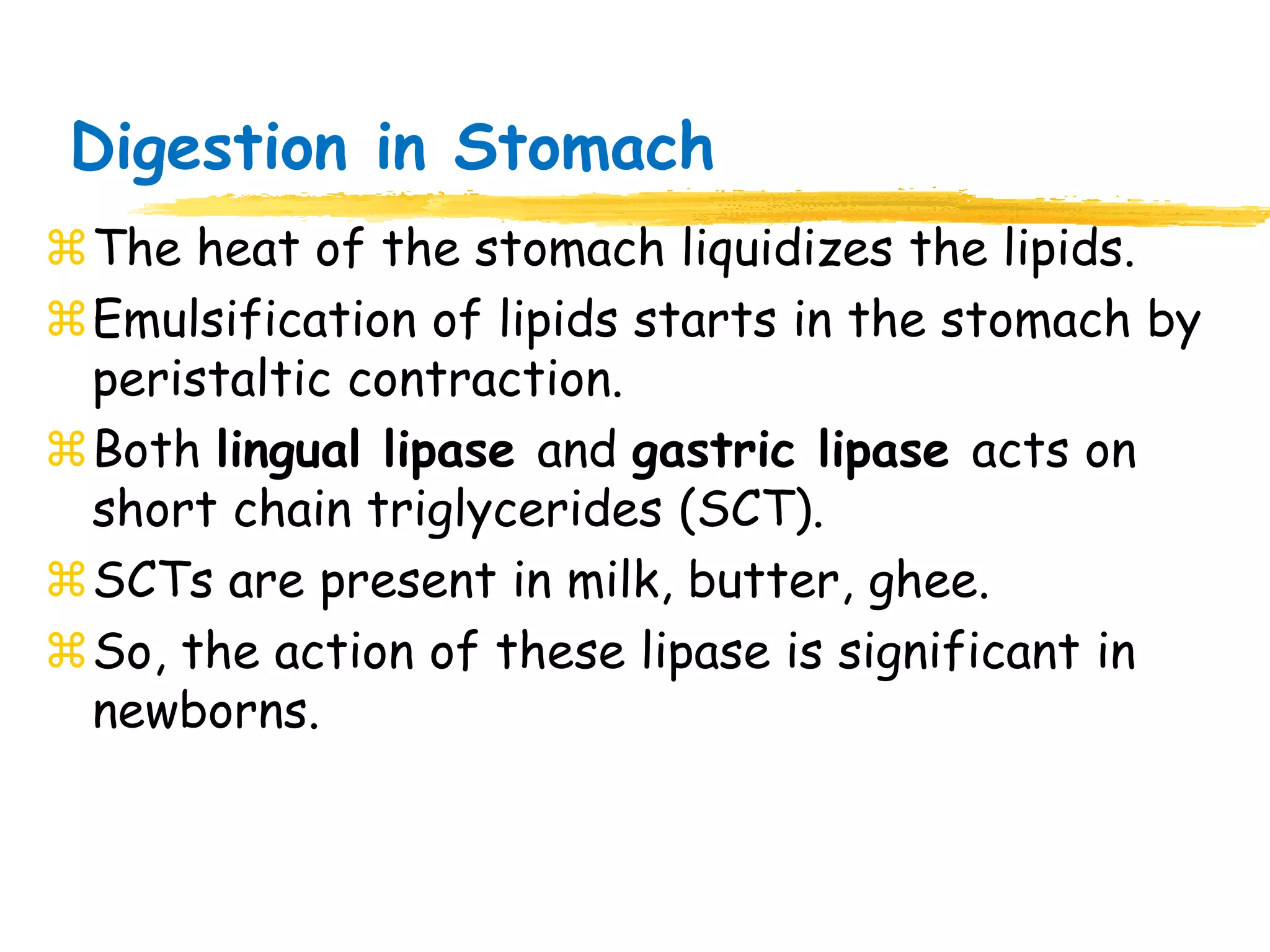 Digestion and absorption of lipids | PPSX