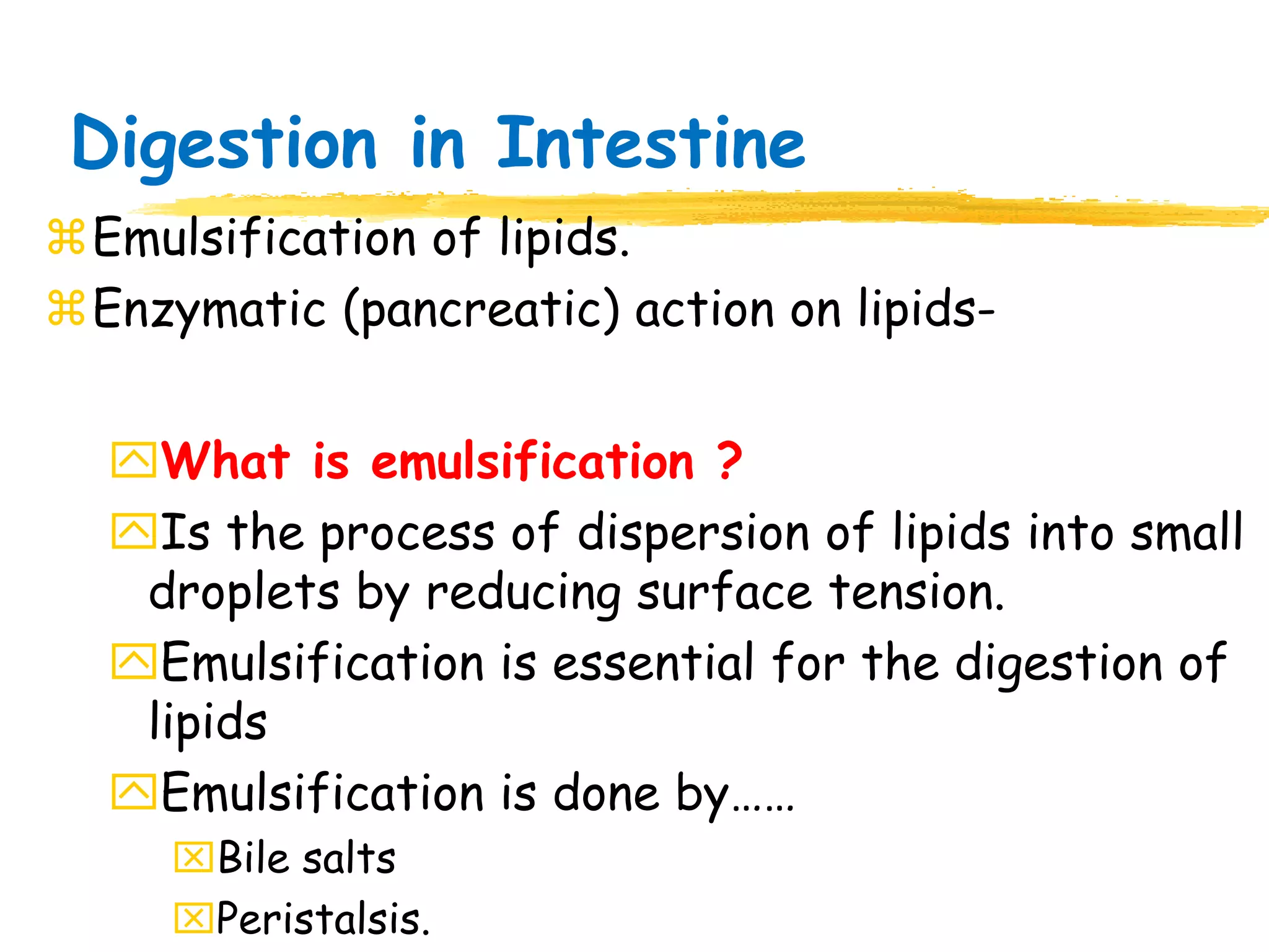 Digestion and absorption of lipids | PPSX