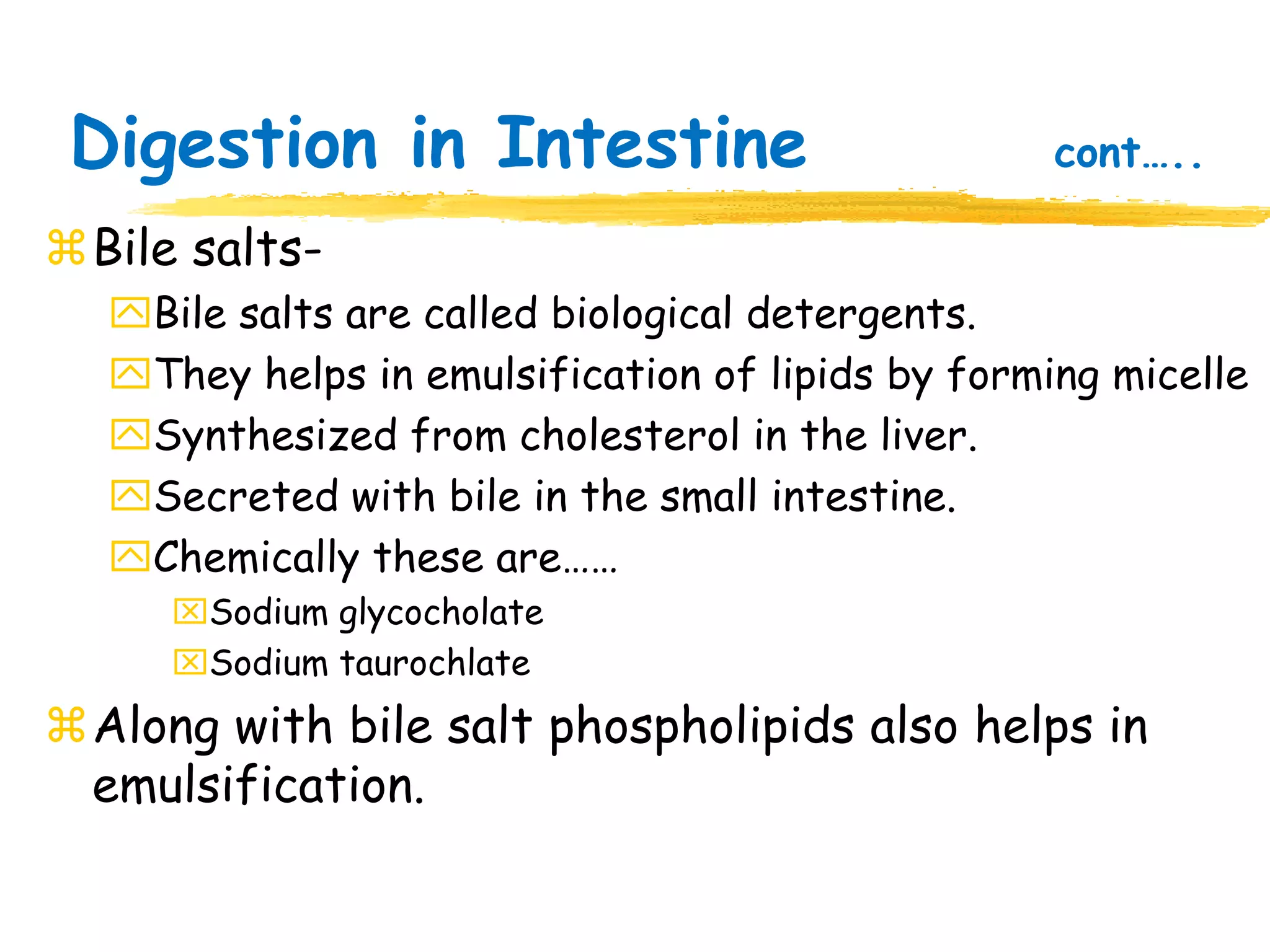 Digestion and absorption of lipids | PPSX