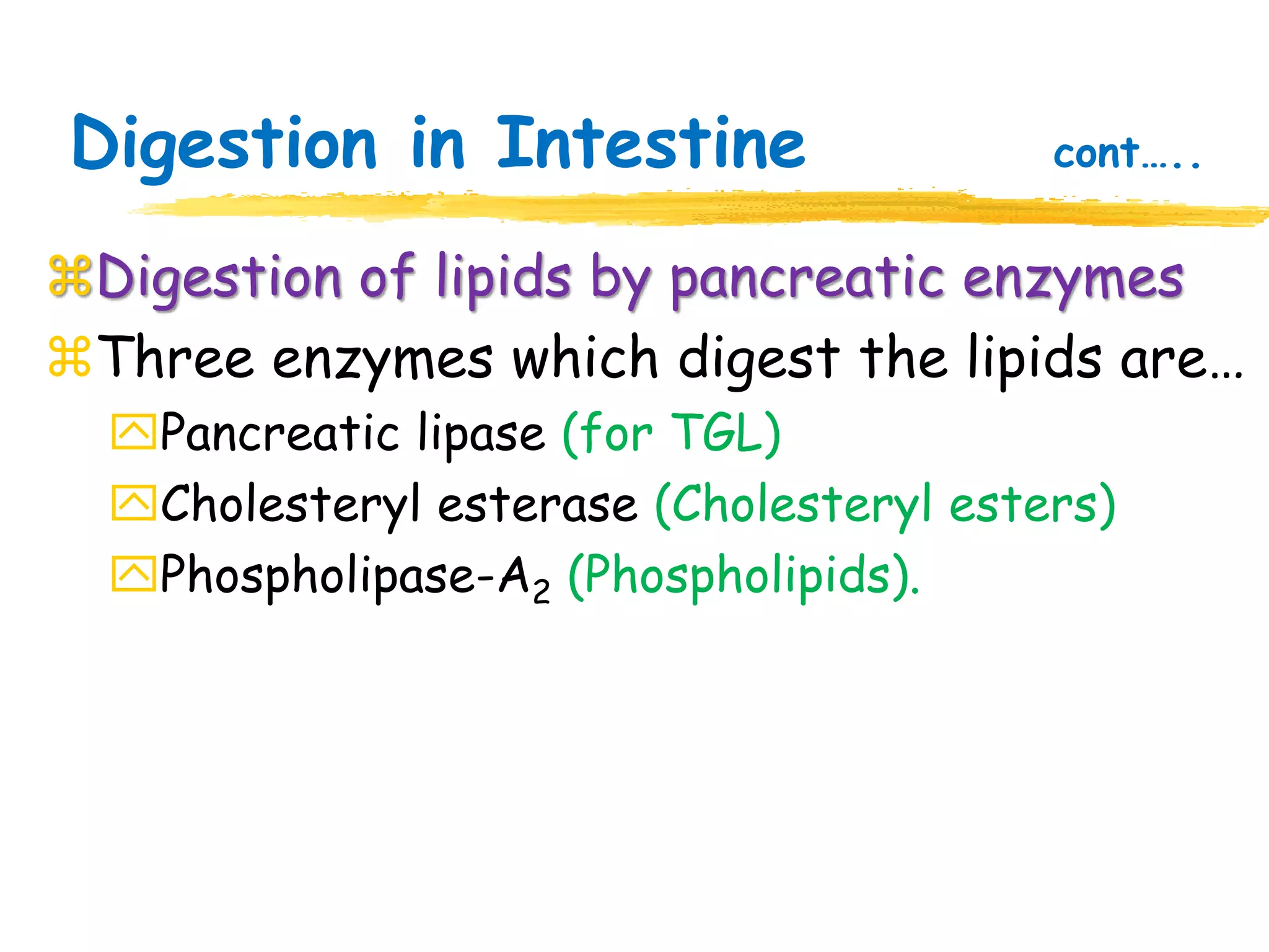 Digestion and absorption of lipids | PPSX