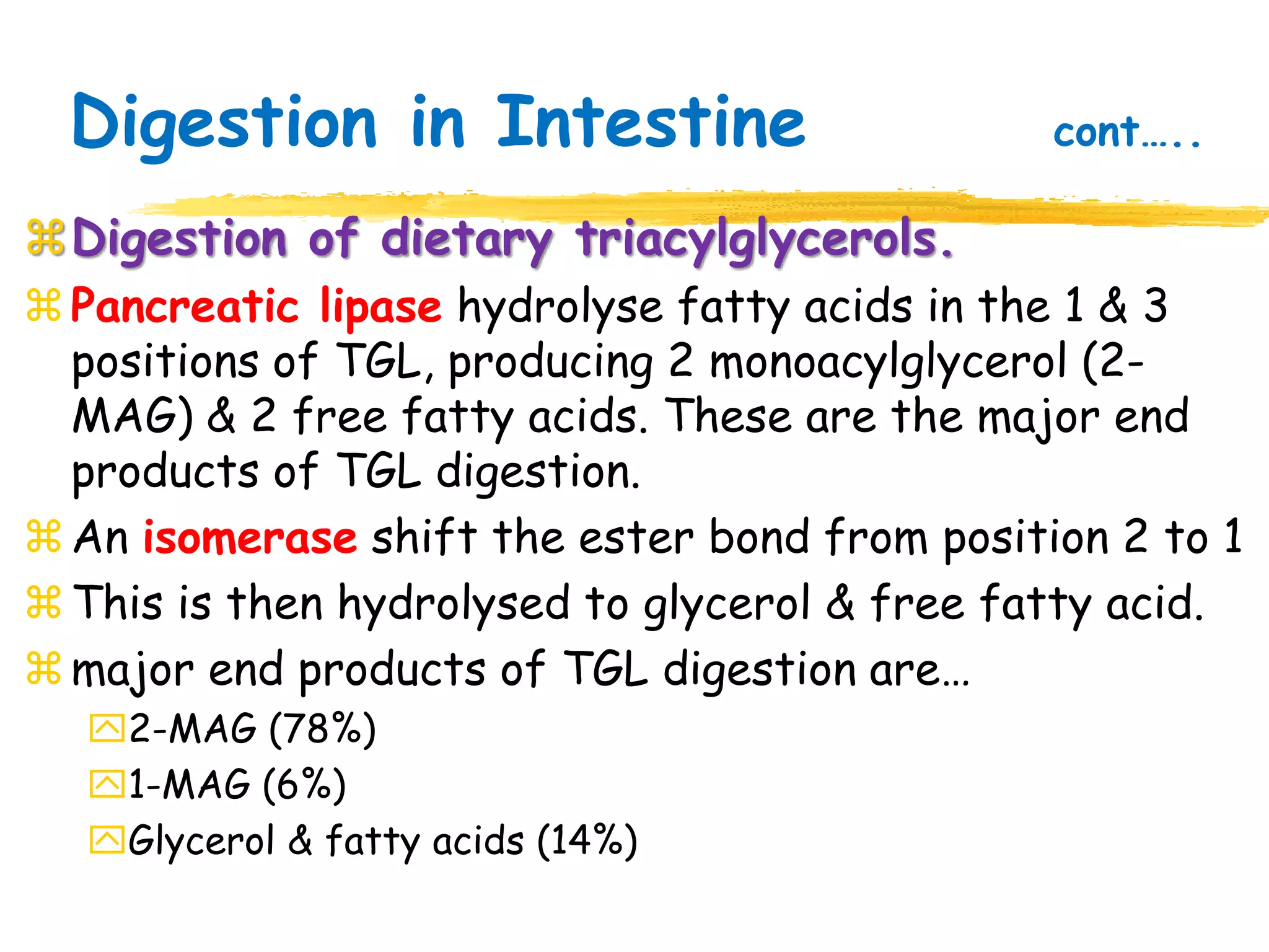 Digestion and absorption of lipids | PPSX