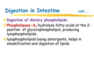 Digestion and absorption of lipids | PPSX