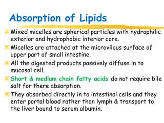 Digestion and absorption of lipids | PPSX