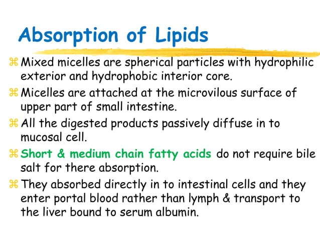 Digestion and absorption of lipids | PPSX