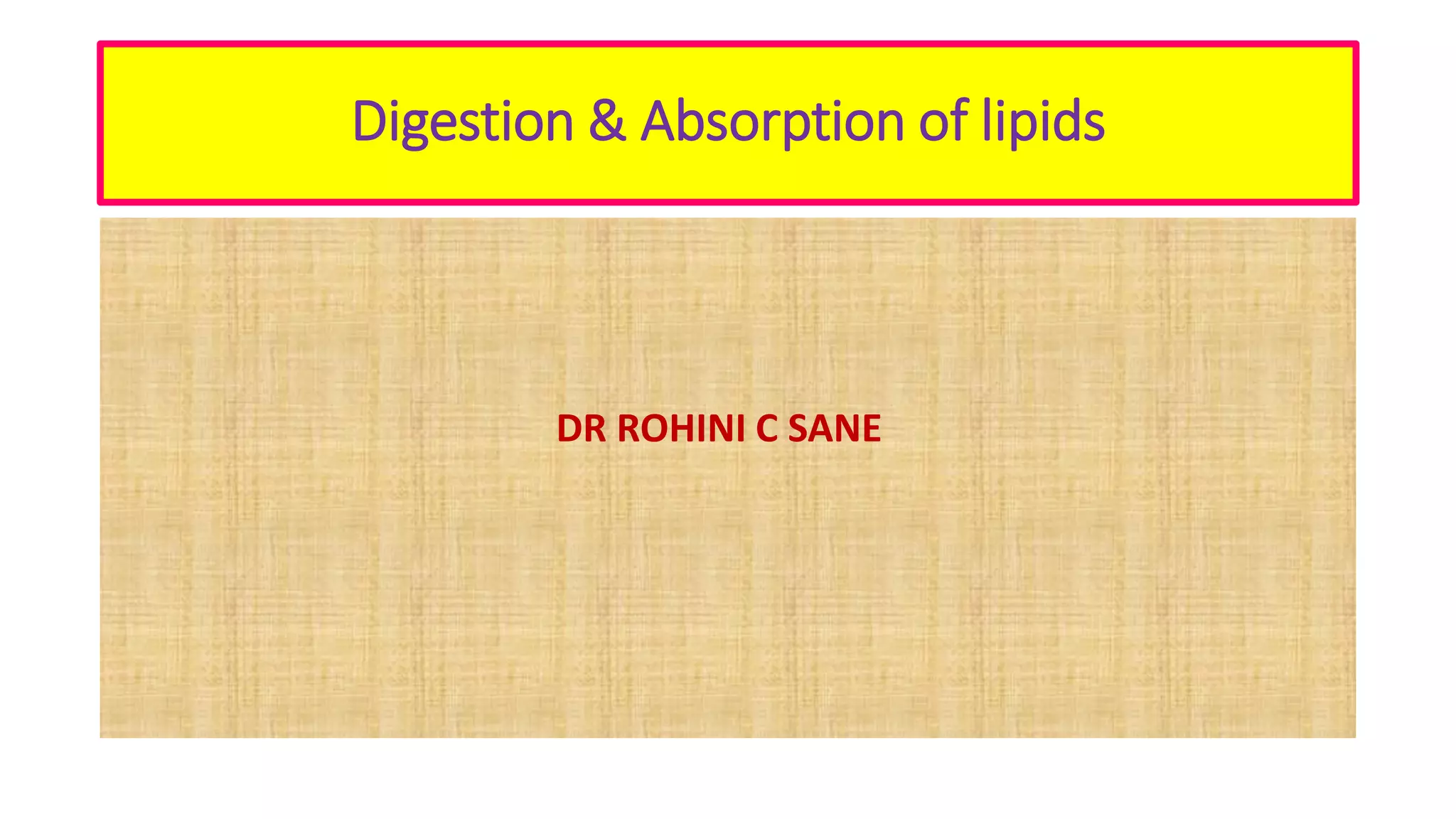 Digestion and absorption of lipids | PPT