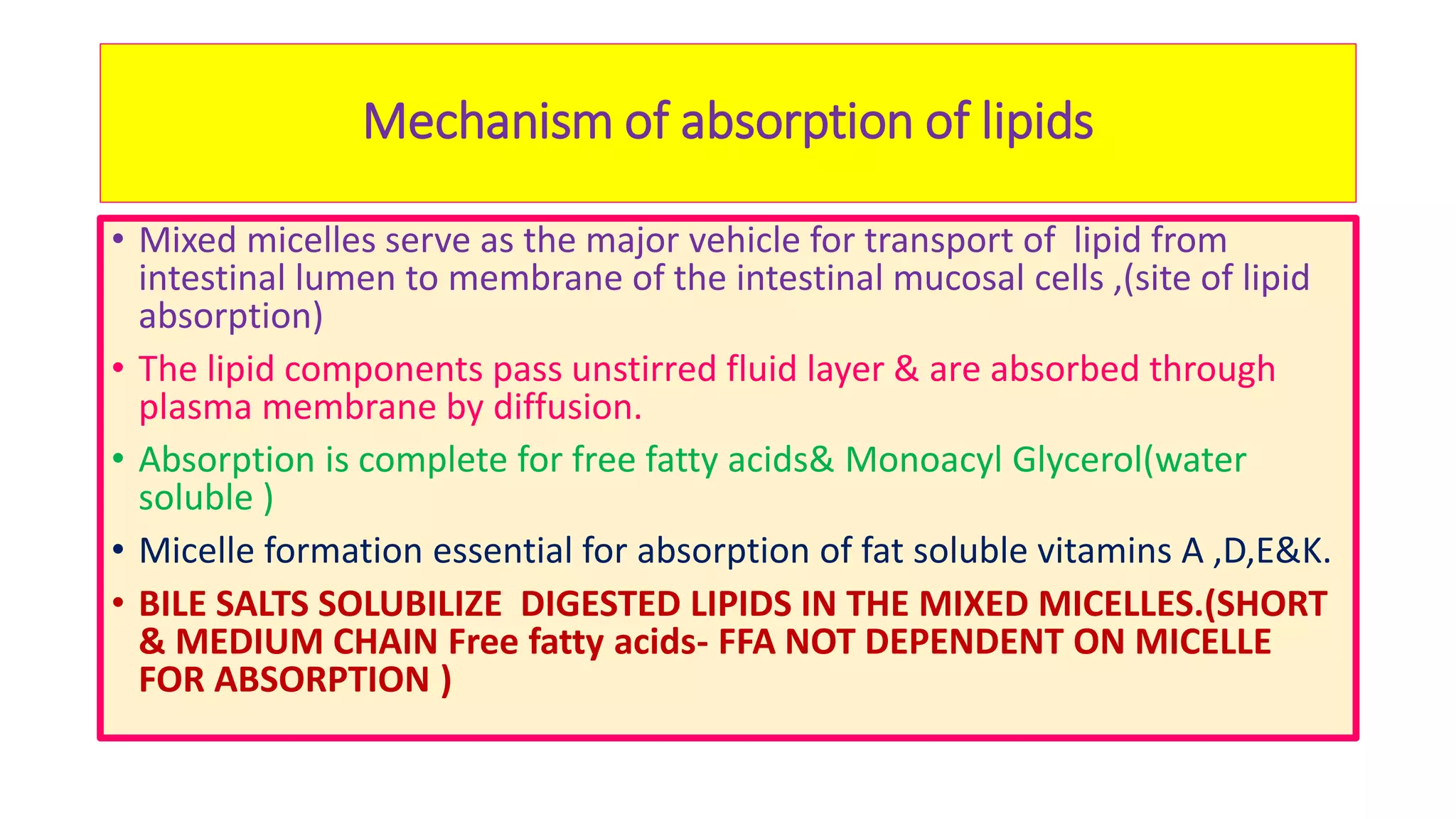 Digestion and absorption of lipids | PPT