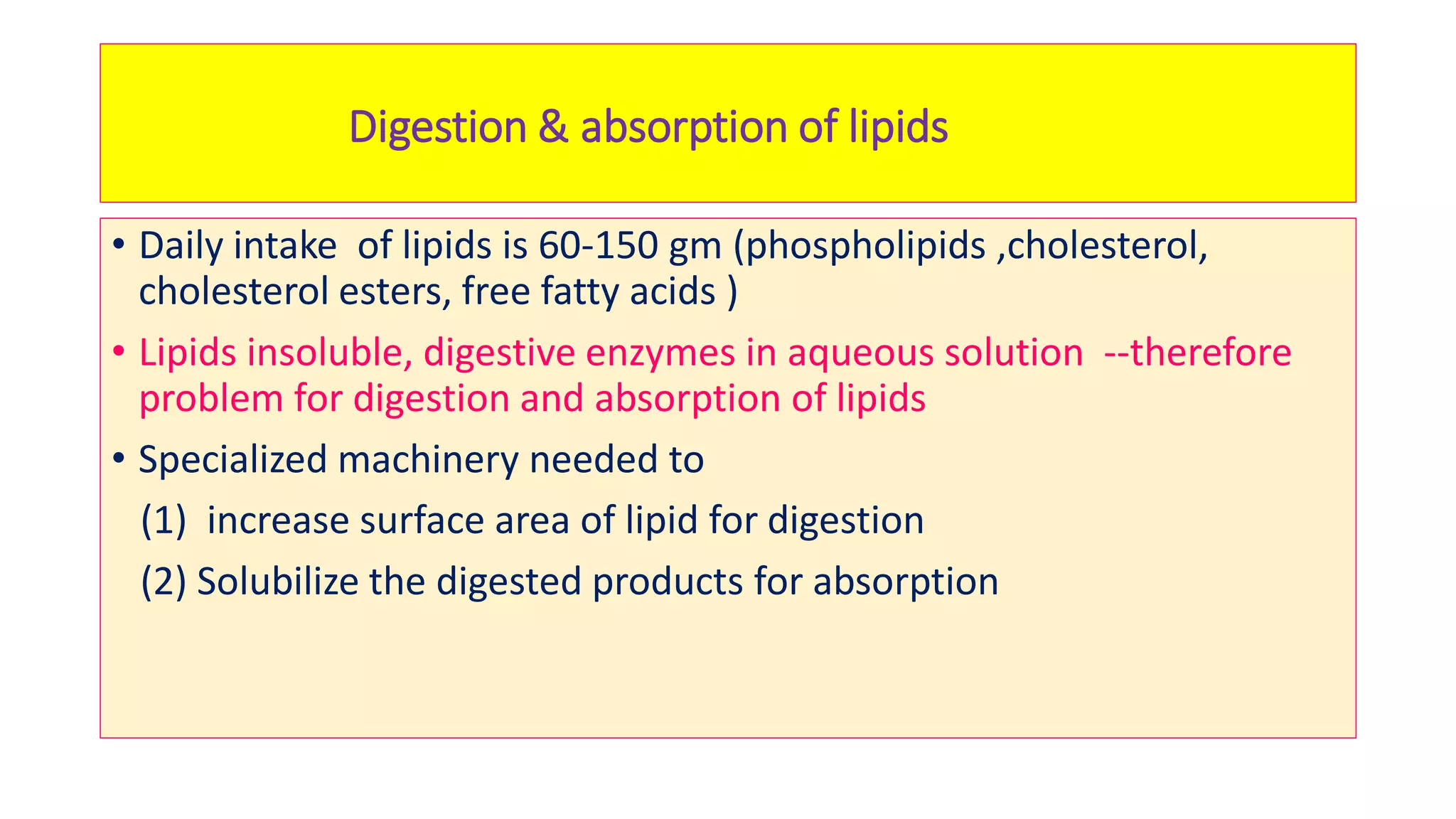 Digestion and absorption of lipids | PPT