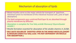 Digestion and absorption of lipids | PDF