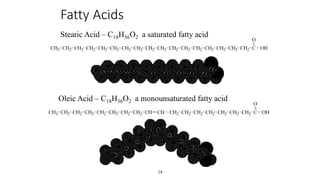 Digestion and absorption of lipids | PPT