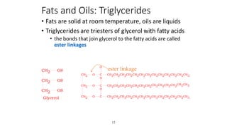Digestion and absorption of lipids | PDF