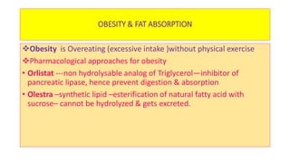 Digestion and absorption of lipids | PDF