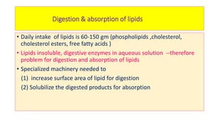 Digestion and absorption of lipids | PPT