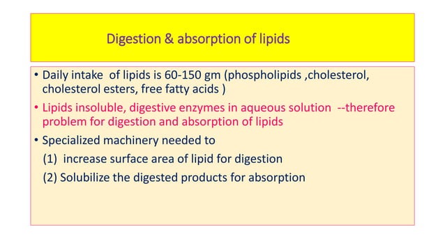Digestion and absorption of lipids | PPT