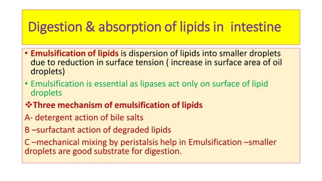 Digestion and absorption of lipids | PPT