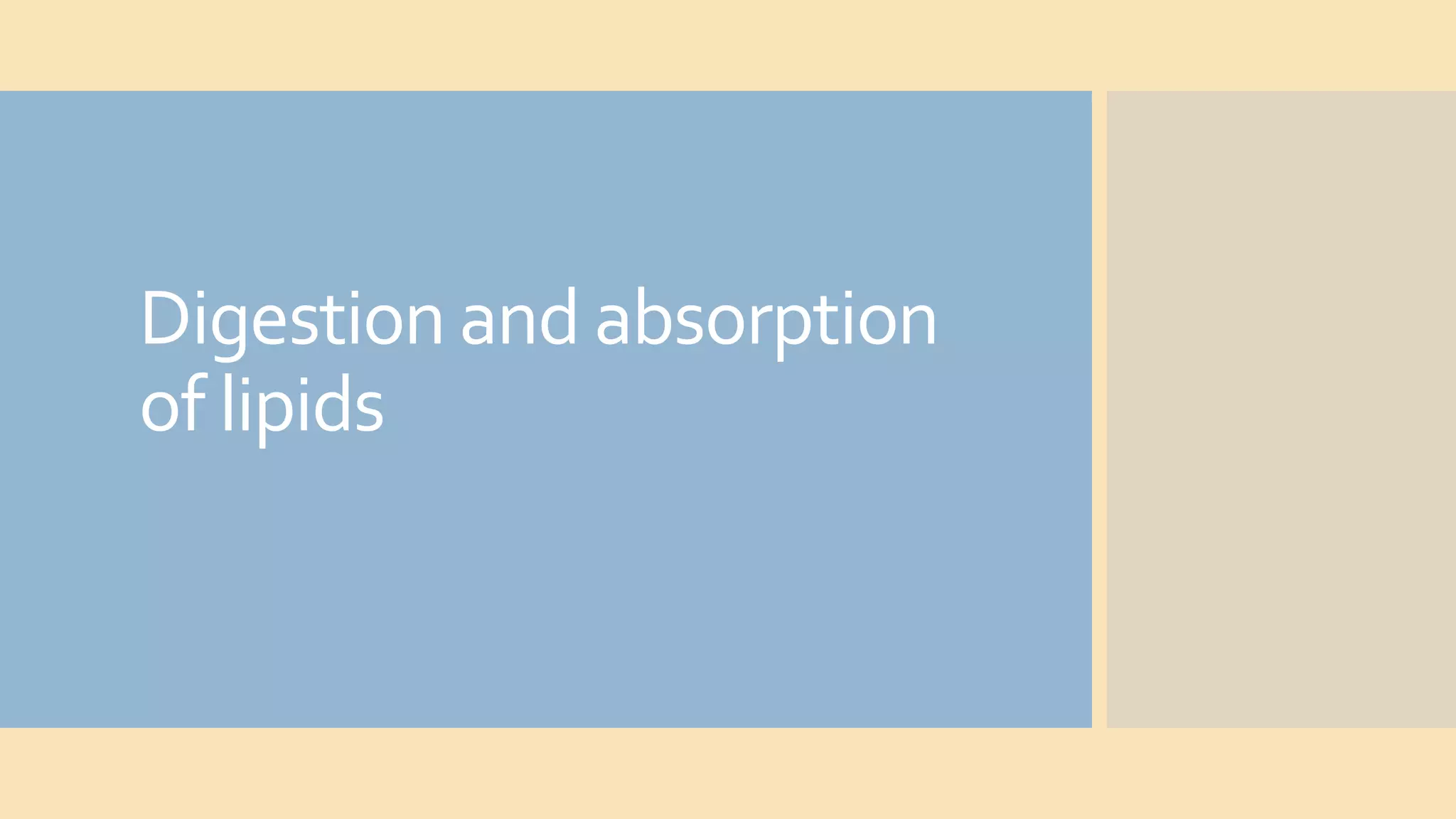 Digestion and absorption of lipids | PPT