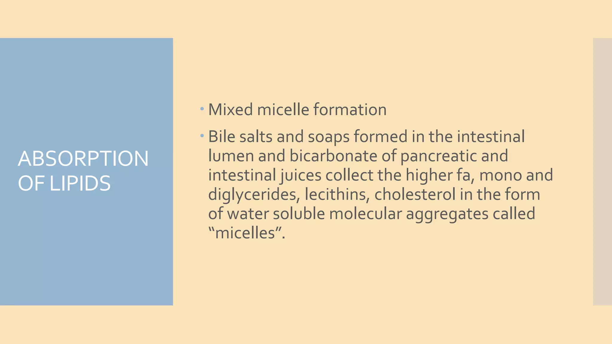 Digestion and absorption of lipids | PPT
