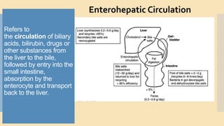Digestion and absorption of lipids | PPTX