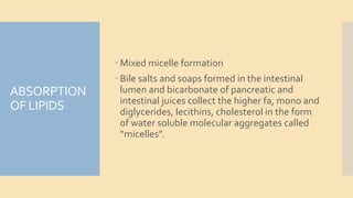 Digestion and absorption of lipids | PPTX