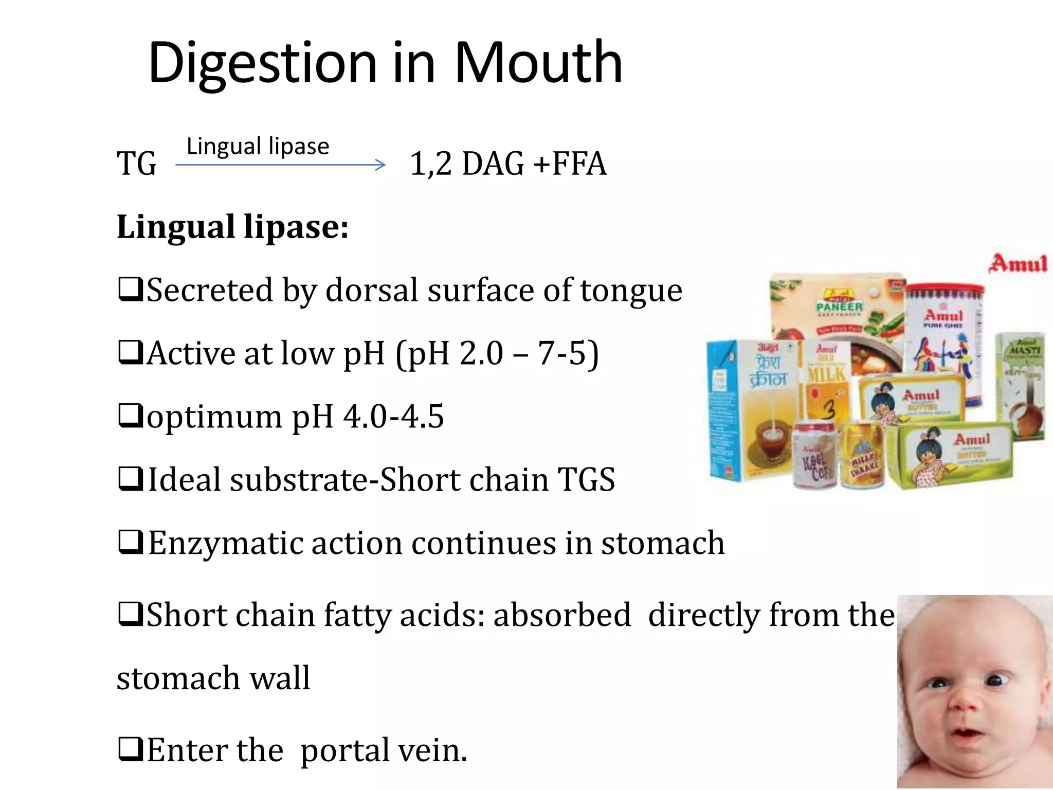 Digestion and absorption of lipids | PPTX