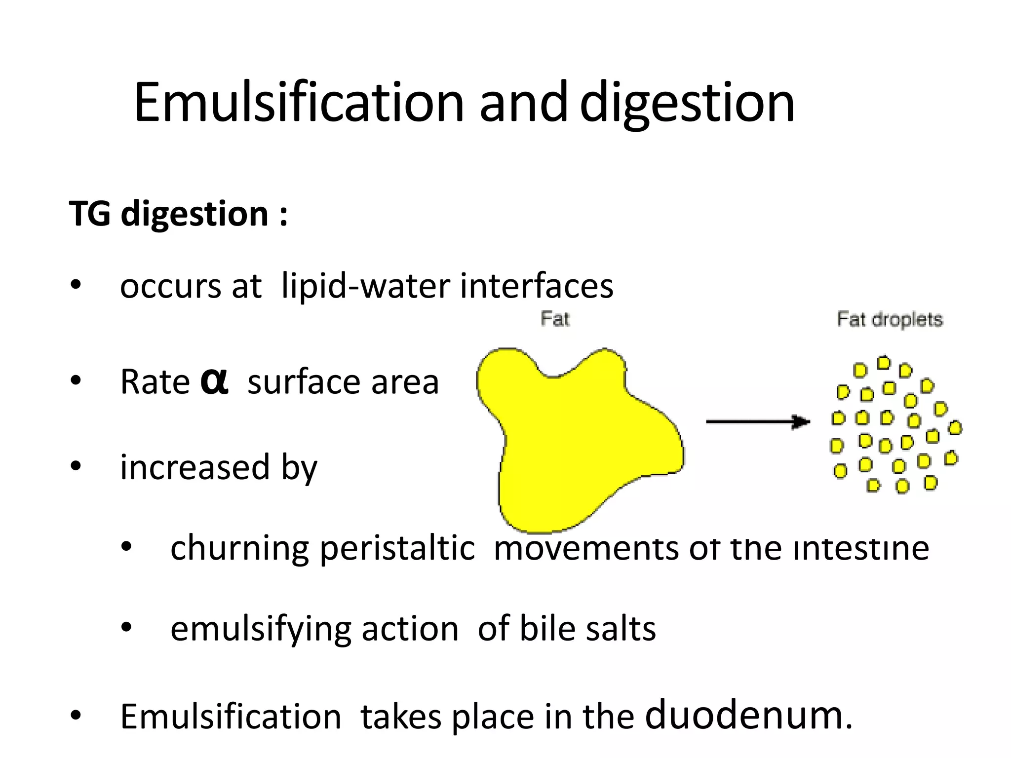 Digestion and absorption of lipids | PPTX