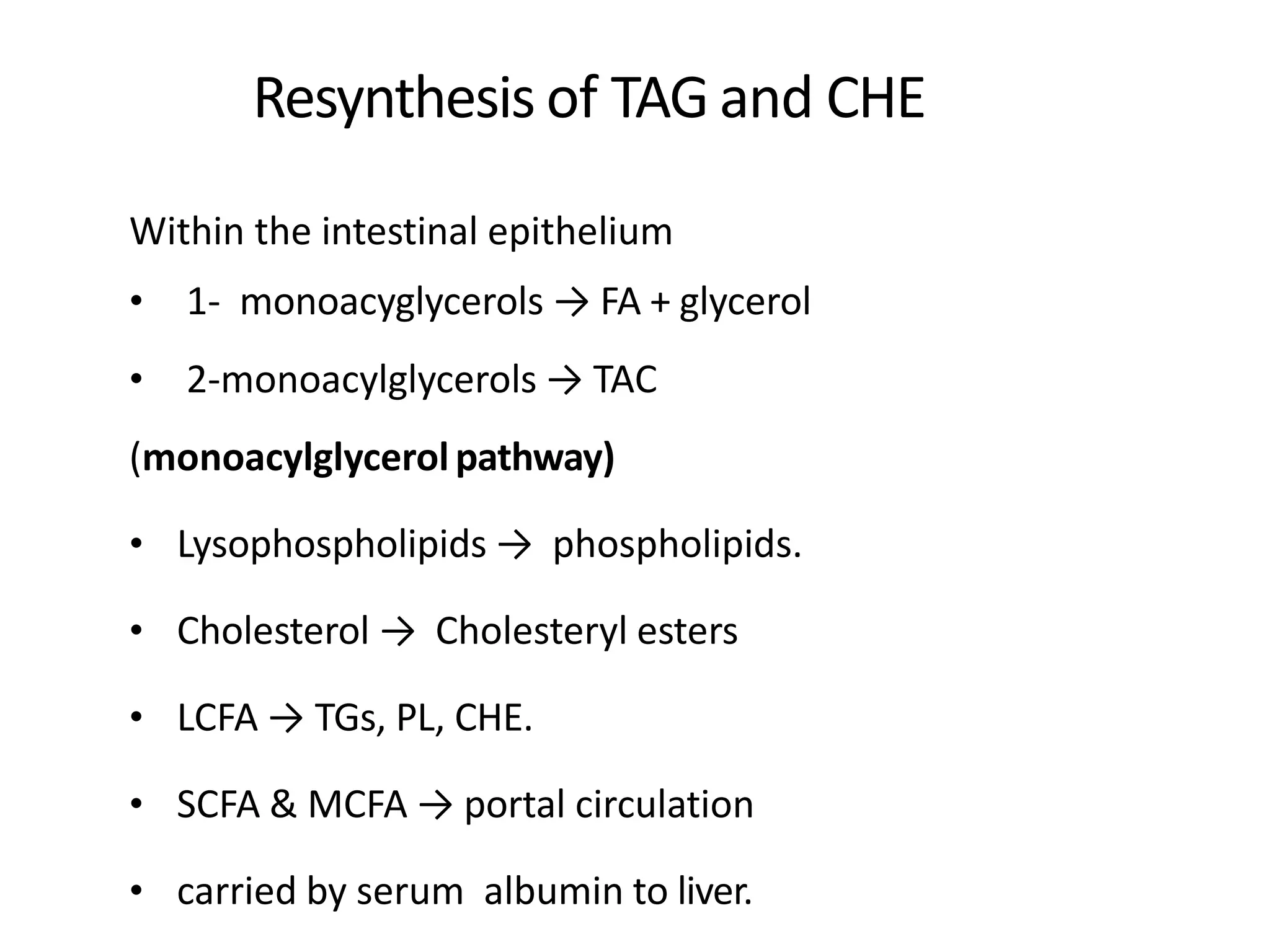 Digestion and absorption of lipids | PPTX