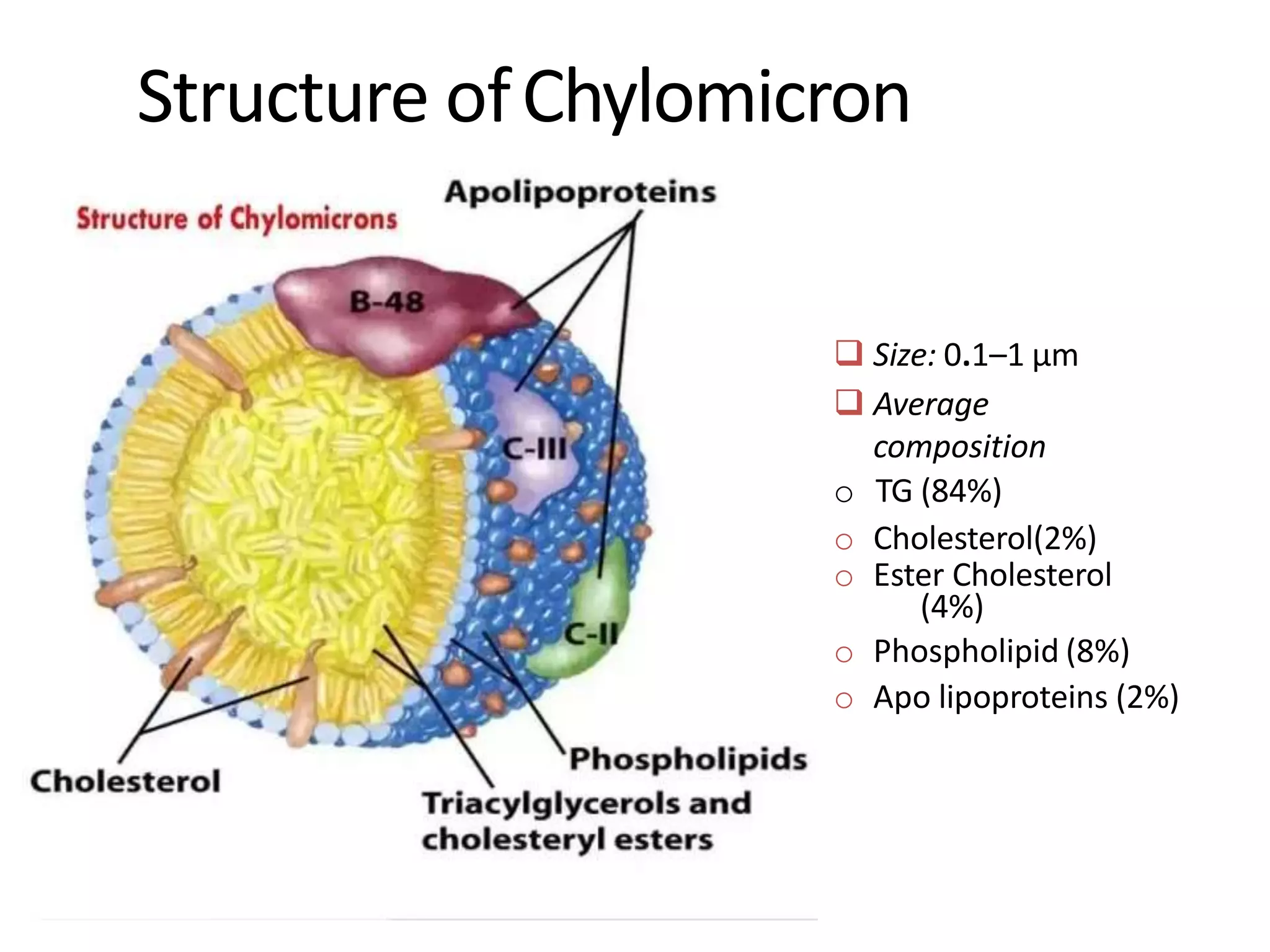 Digestion and absorption of lipids | PPTX