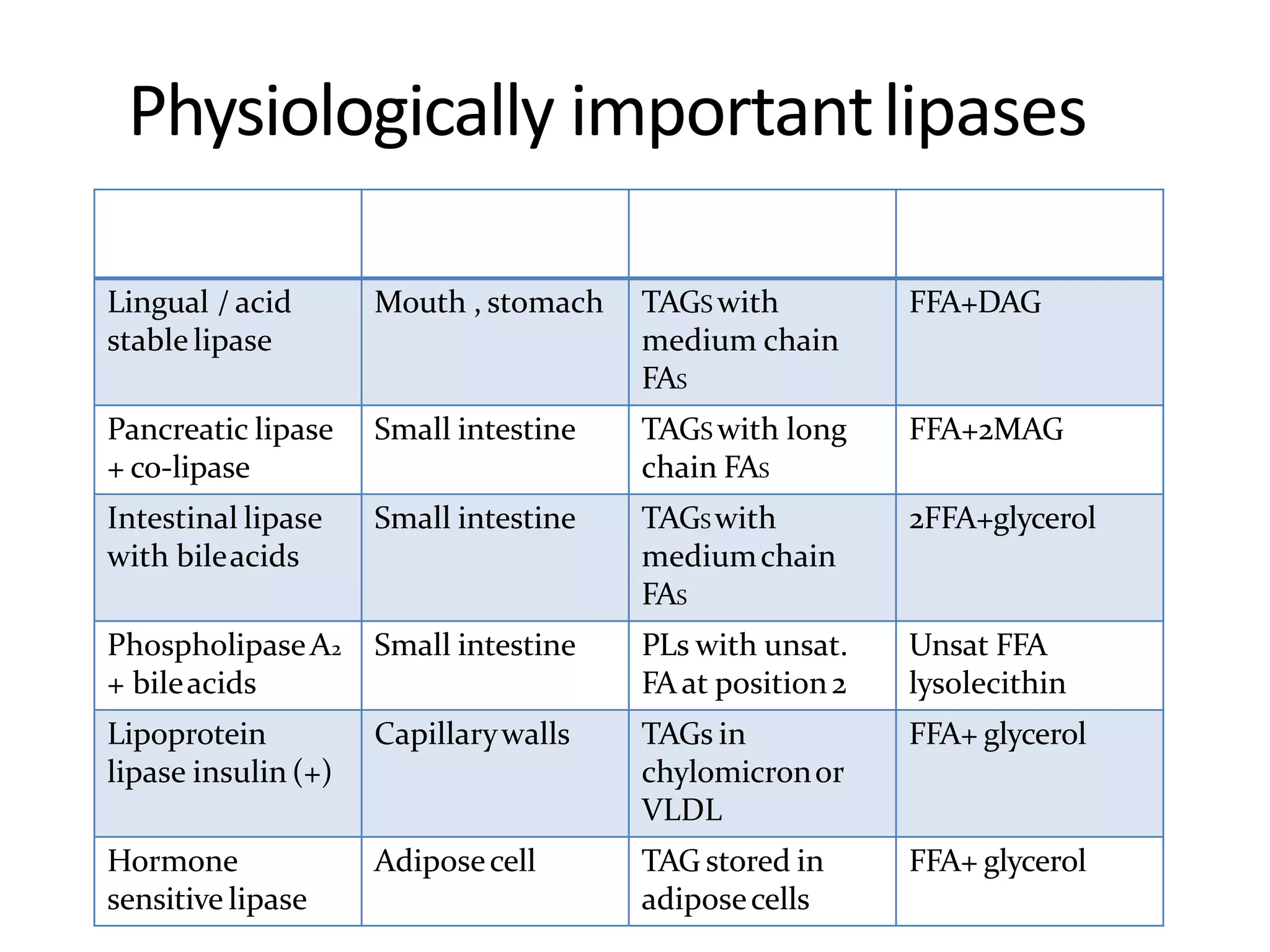 Digestion and absorption of lipids | PPTX