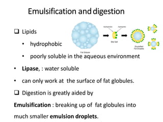 Digestion and absorption of lipids | PPTX