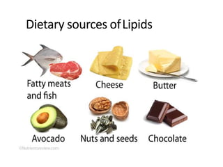 Digestion and absorption of lipids | PPTX