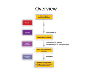 Digestion and absorption of lipids | PPTX