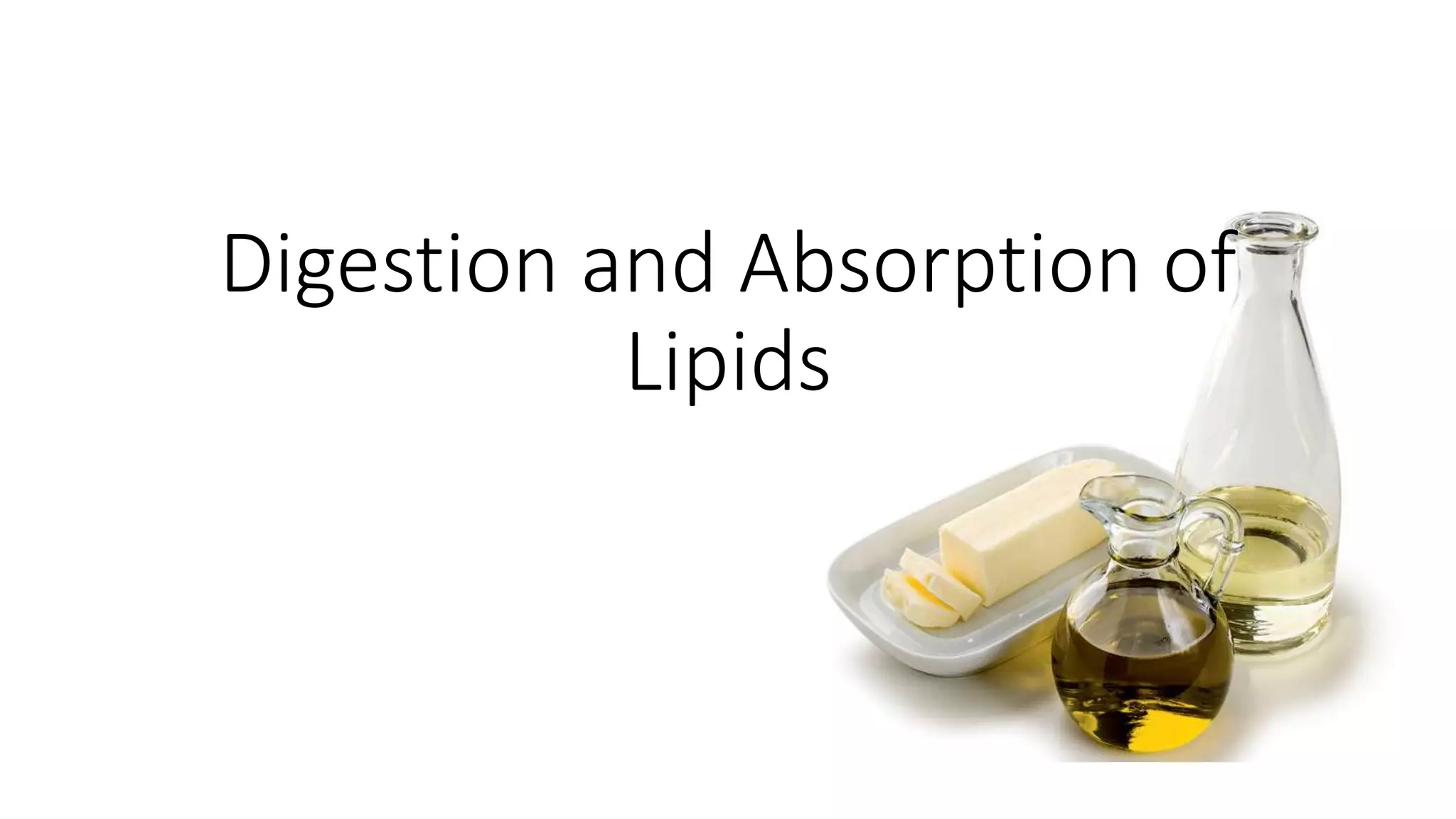 Digestion and absorption of lipids | PPTX