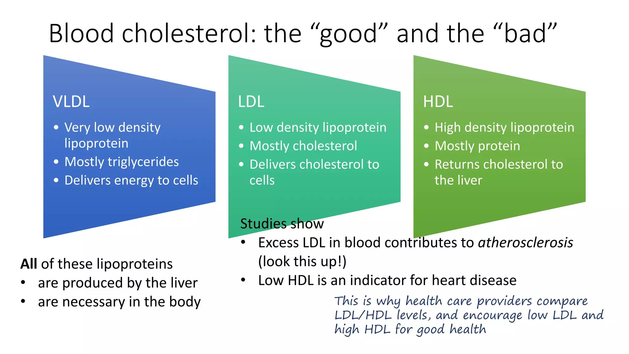 Digestion and absorption of lipids | PPTX