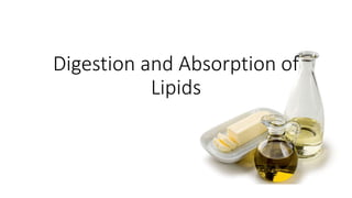 Digestion and absorption of lipids | PPTX