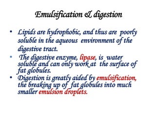 Digestion and absorption of lipids | PPTX
