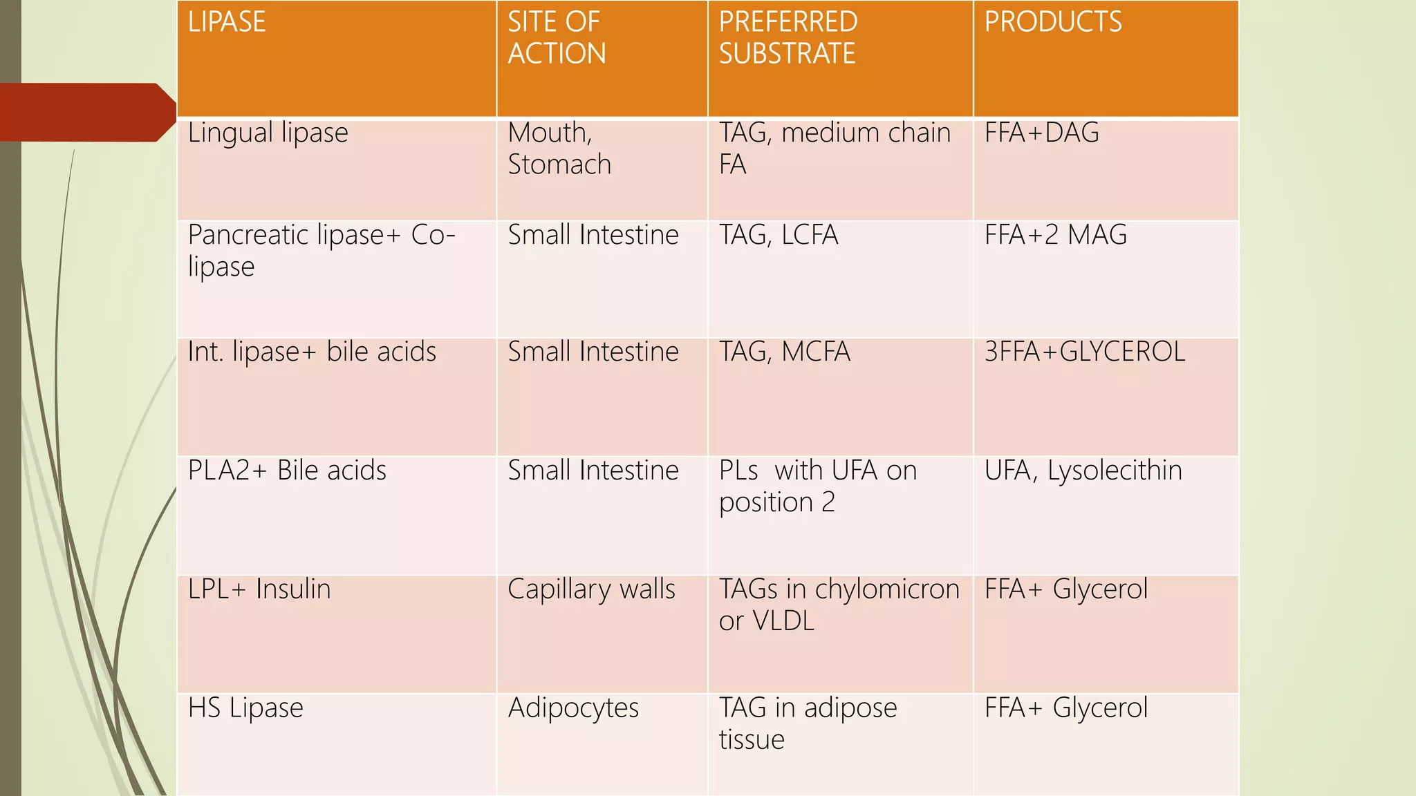 Digestion and absorption of lipids | PPTX