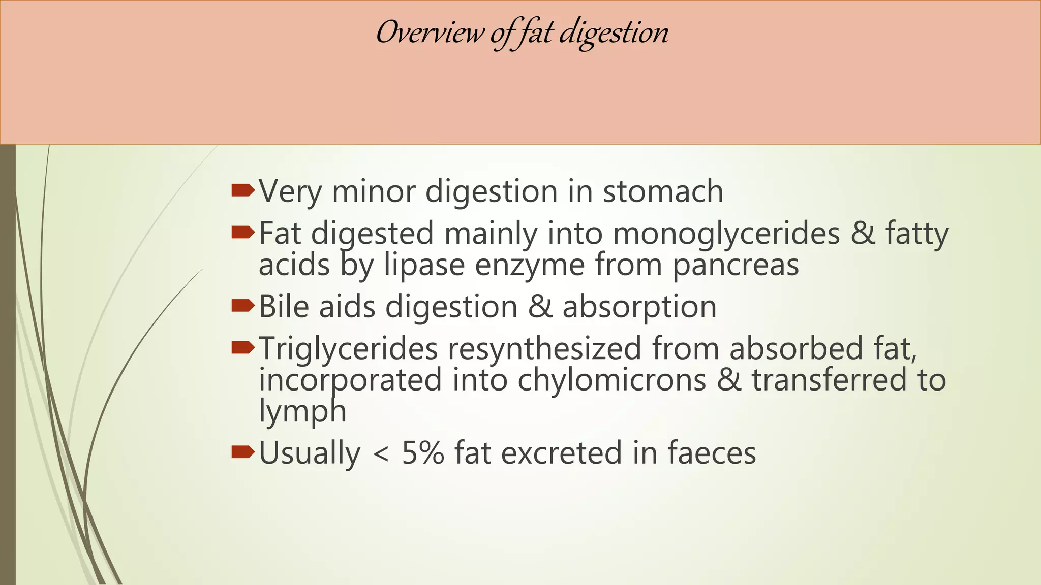 Digestion and absorption of lipids | PPTX