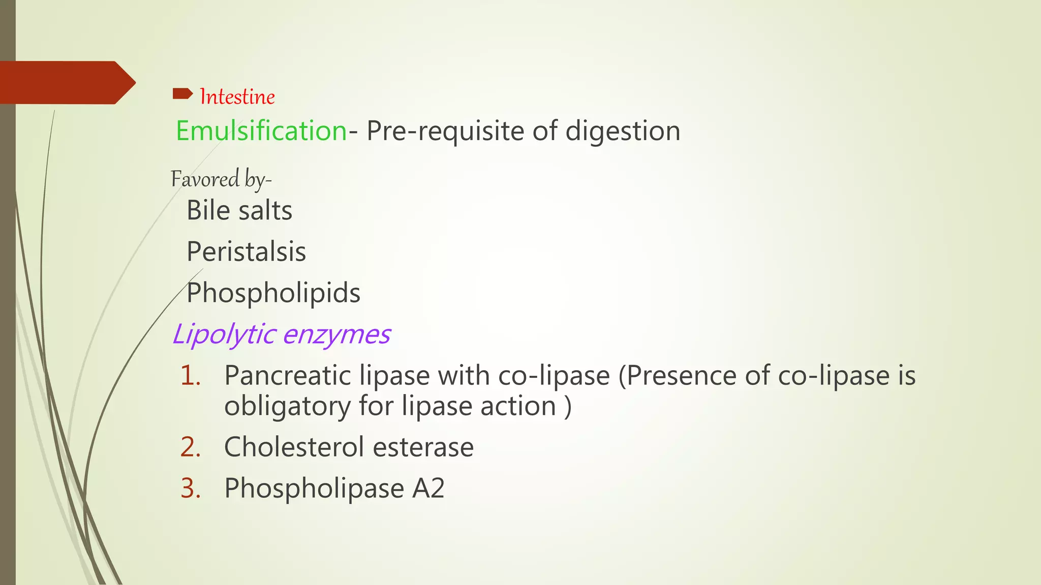 Digestion and absorption of lipids | PPTX