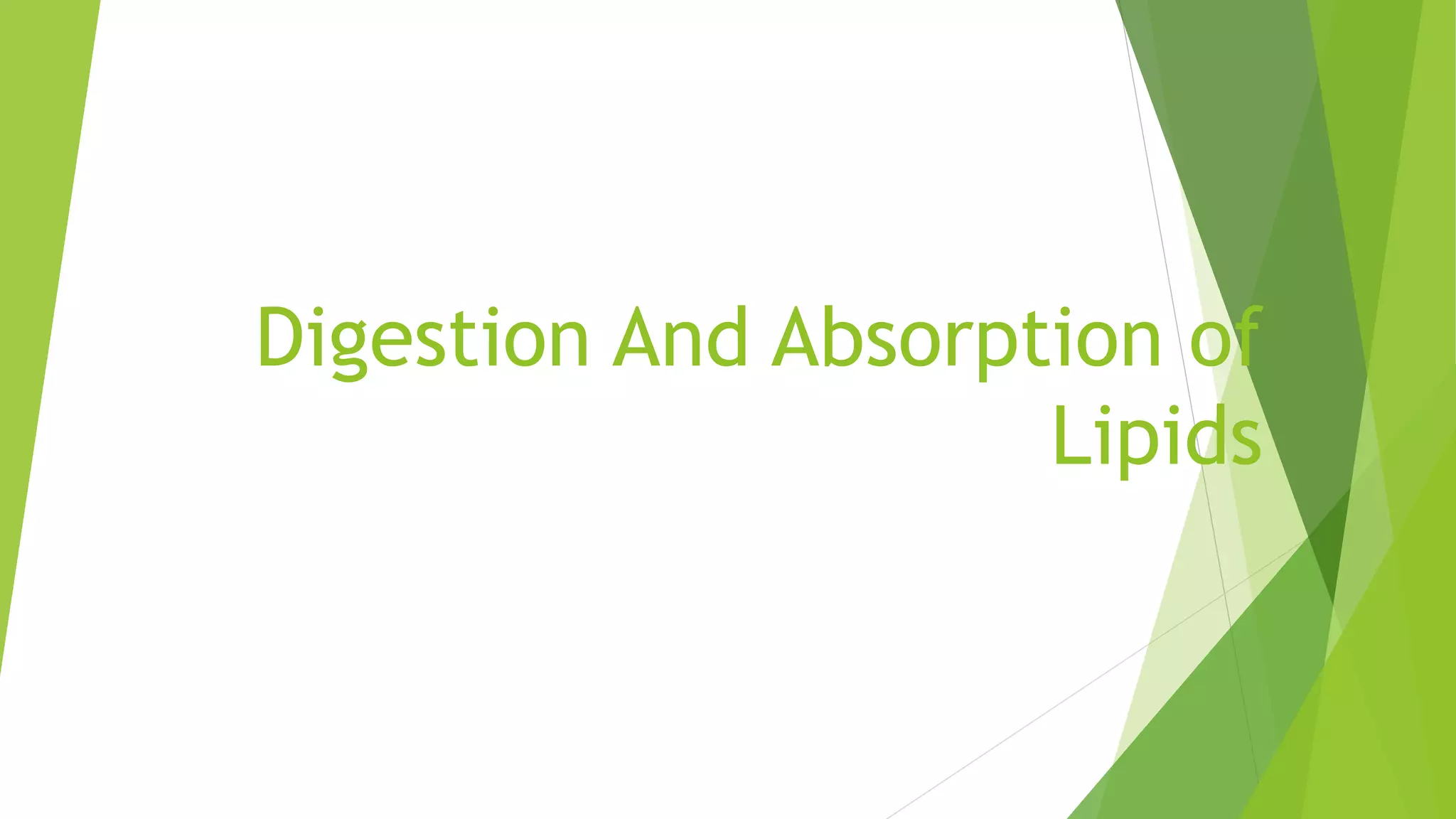 Digestion And Absorption of Lipids (1).pptx | Digestive Disorders ...