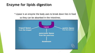 Digestion And Absorption of Lipids (1).pptx | Digestive Disorders ...